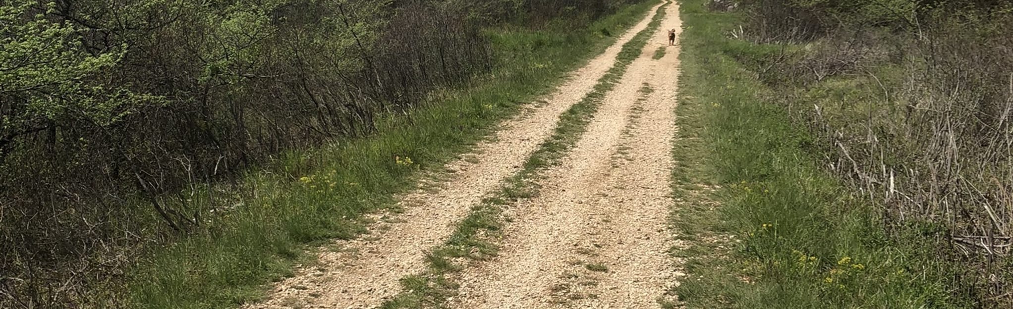 Buje - Grožnjan | Map, Guide - Istra, Croatia | AllTrails