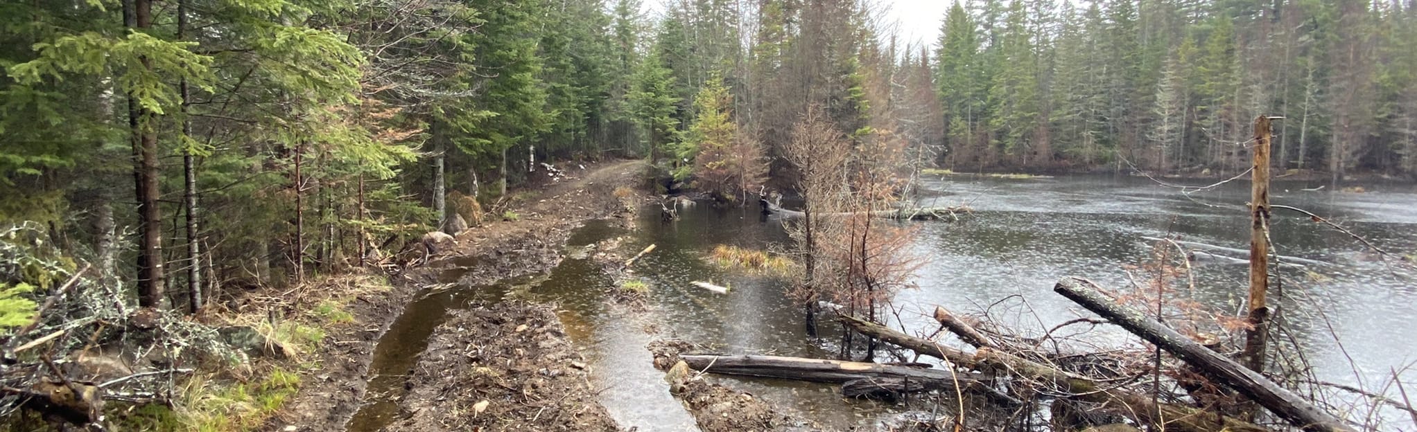 Leaf Lake - Pinetree Lake - Thistle Lake Loop, Ontario, Canada - 15 ...