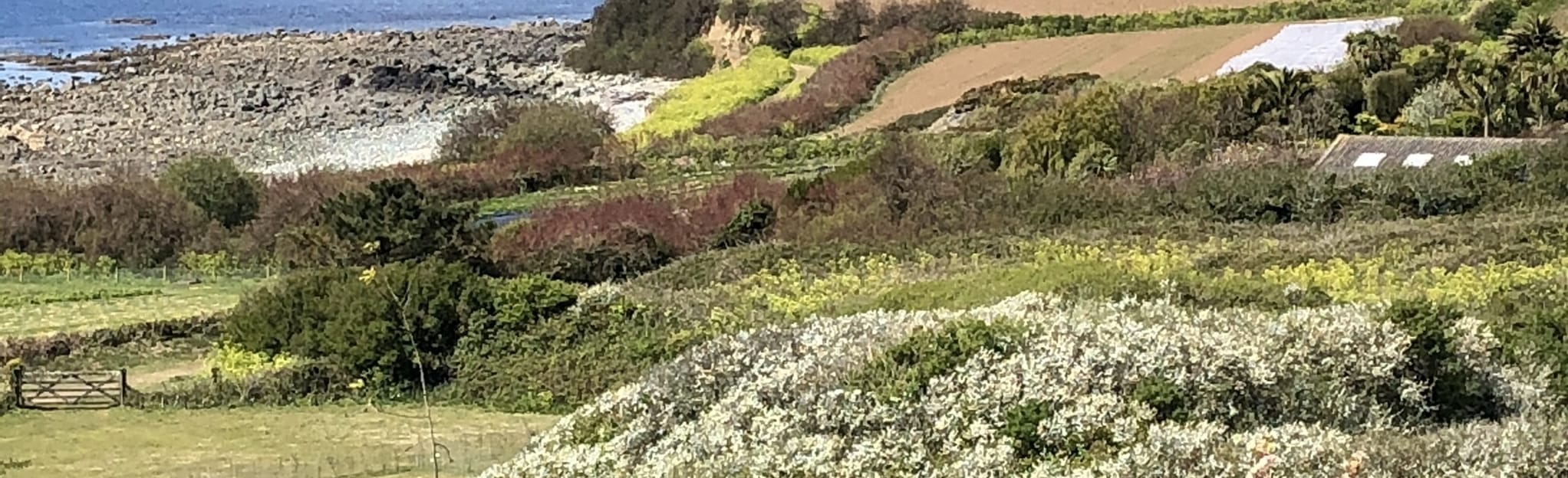 Perranuthnoe Beach Circular, Cornwall, England - 20 Reviews, Map ...