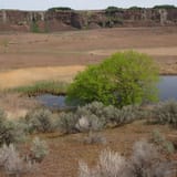 Dusty Lake Trail, Washington - 118 Reviews, Map | AllTrails