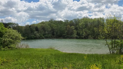 2023 Best Forest Trails in Codorus State Park | AllTrails