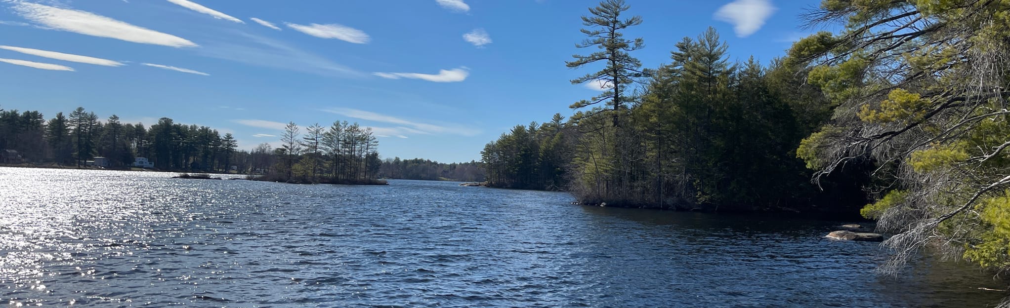 Charles E. Swett Trail, Maine - 23 Reviews, Map | AllTrails