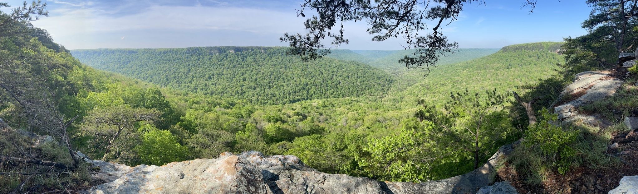 North Rim and North Plateau Loop Trail - Tennessee | AllTrails