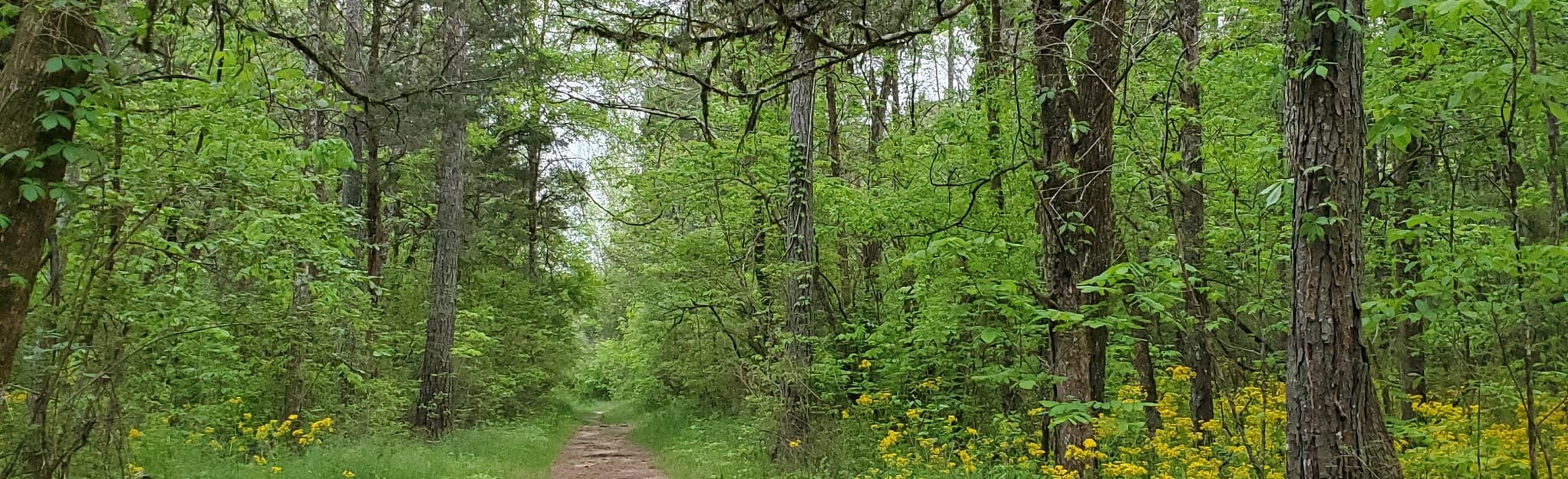 Snodgrass Hill and Glenn Kelly Loop, Georgia - 29 Reviews, Map | AllTrails