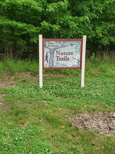 Best Hikes and Trails in Lake Chicot State Park | AllTrails