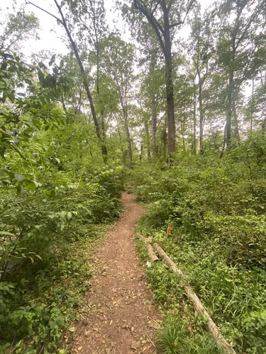 10 Best Trails and Hikes in Decatur | AllTrails