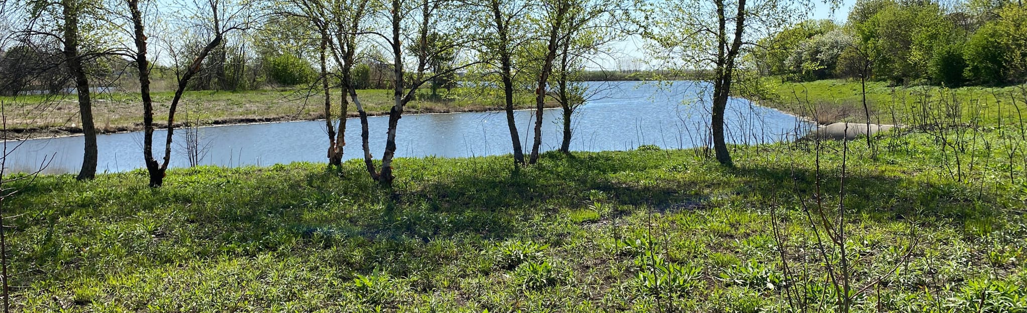 Lily Cache Creek Trail, Illinois - 87 Reviews, Map | AllTrails