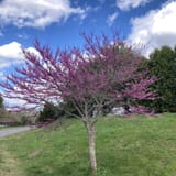 Quonset Point Bike Path, Rhode Island - 295 Reviews, Map | AllTrails