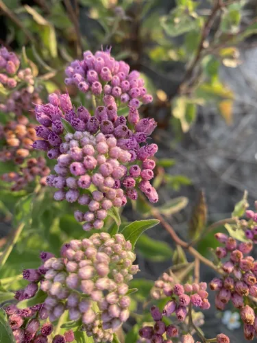 Best Hikes and Trails in TM Goodwin Waterfowl Management Area | AllTrails