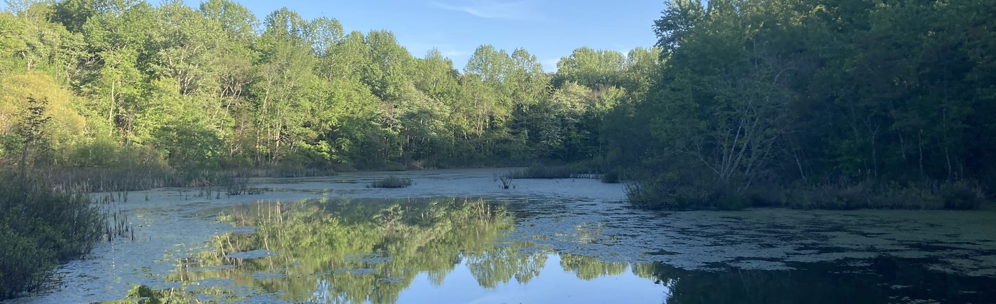 Mammoth Cave Railroad Trail : 426 Fotos - Kentucky | AllTrails