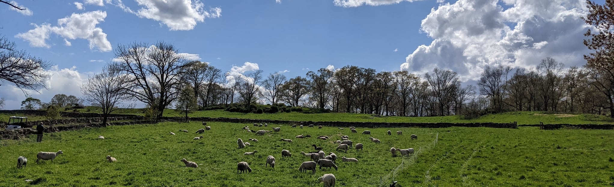 Stone Bridge to Stone Barn Loop: 147 Reviews, Map - New York | AllTrails