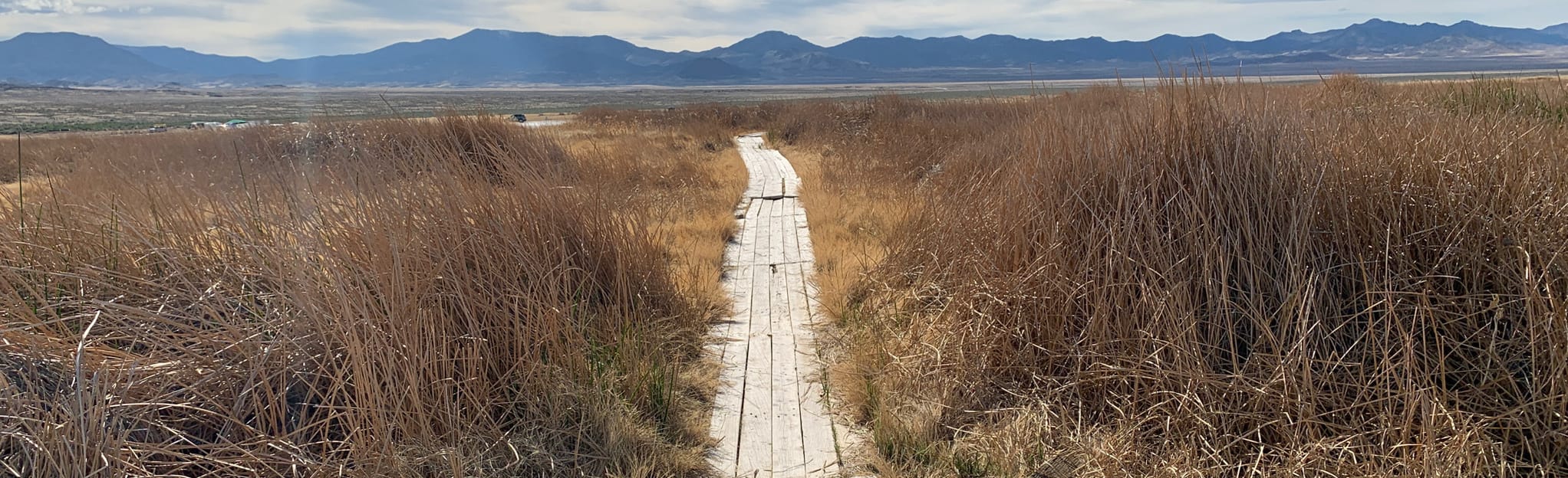 Blue Lake: 11 Fotos - Utah | AllTrails