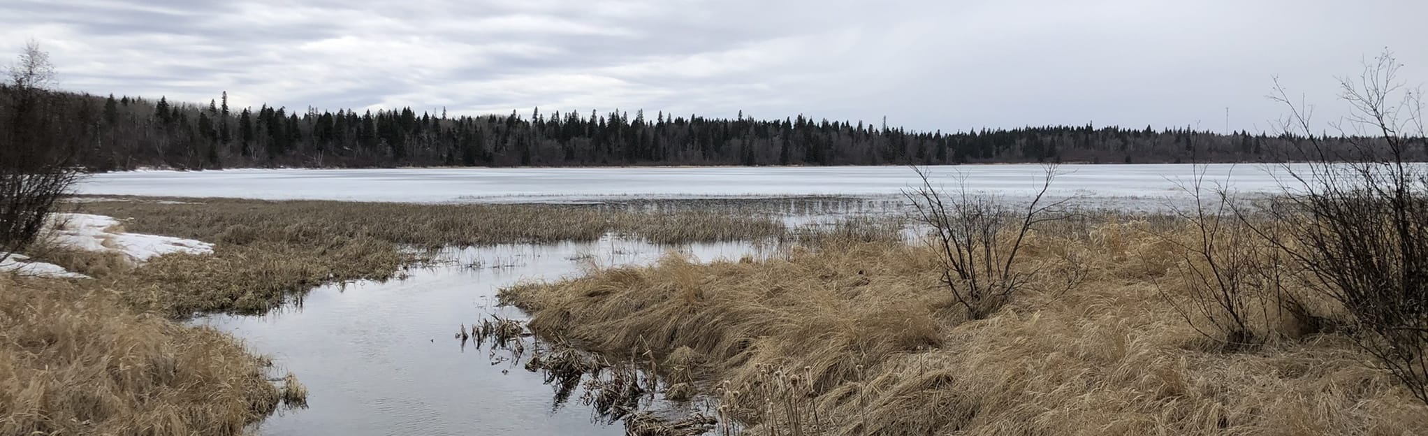 Moon Lake Trail: 218 Reviews, Map - Manitoba, Canada | AllTrails