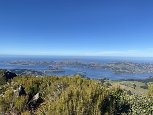 Best Hikes and Trails in Mount Cargill Scenic Reserve | AllTrails