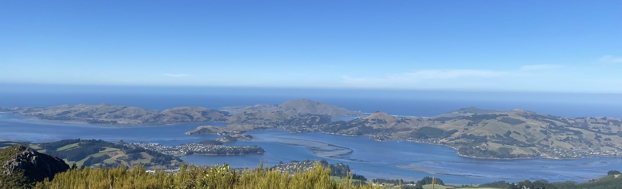 Mount Cargill Walk - Otago, New Zealand | AllTrails