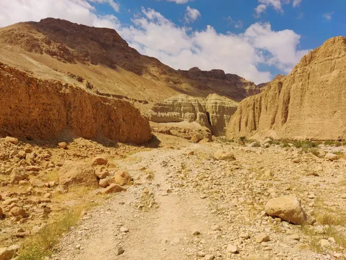 10 Best Hikes and Trails in Judean Desert Nature Reserve | AllTrails