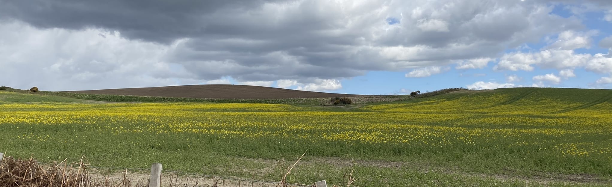 Beamish Park and Causey Arch Circular, County Durham, England - 335 ...