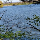 Blue Marsh Trail, Pennsylvania - 344 Reviews, Map | AllTrails