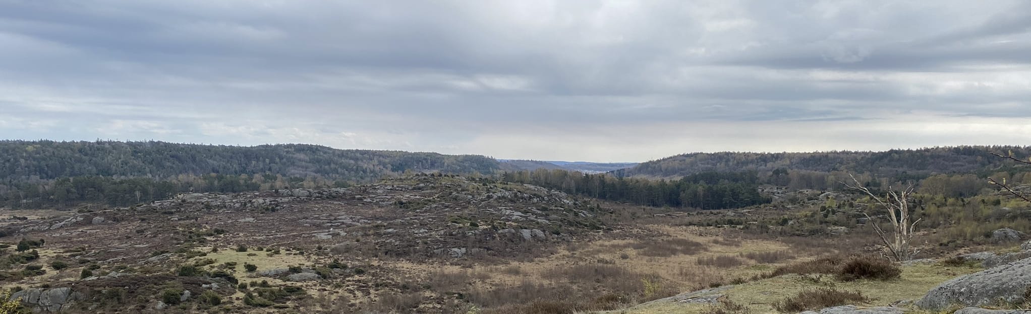 Blue Trail (Långås), Västra Götaland, Sweden - 23 Reviews, Map | AllTrails