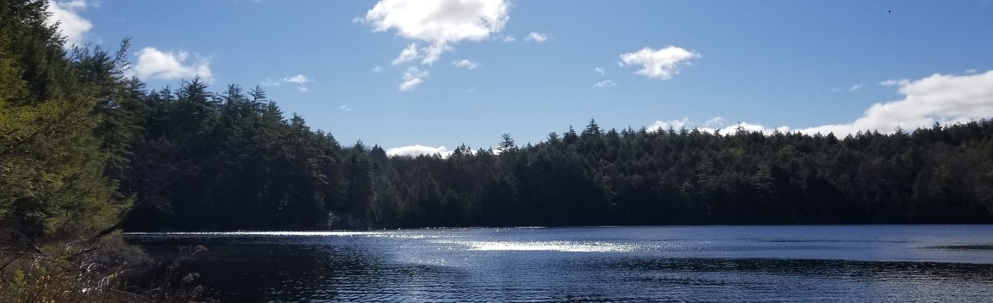 Locke and Overlook Trail Loop: 163 Reviews, Map - New Hampshire | AllTrails