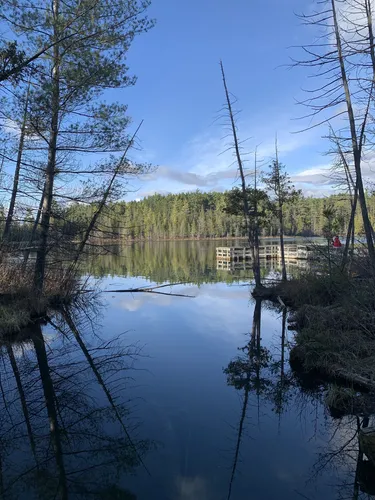 Best Hikes and Trails in Hartwick Pines State Park | AllTrails