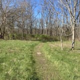 Komoka Provincial Park Loop, Ontario, Canada - 208 Reviews, Map | AllTrails