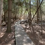 Komoka Provincial Park Loop, Ontario, Canada - 208 Reviews, Map | AllTrails
