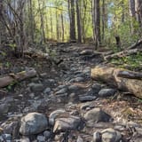 Komoka Provincial Park Loop, Ontario, Canada - 208 Reviews, Map | AllTrails