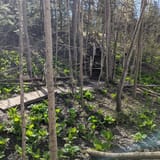 Komoka Provincial Park Loop, Ontario, Canada - 208 Reviews, Map | AllTrails
