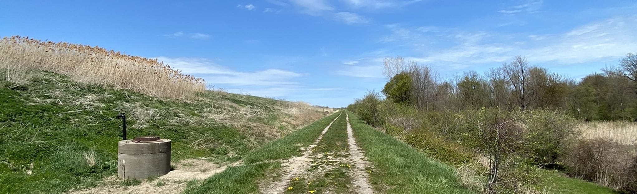 Perch Creek Loop Trail, Ontario, Canada - 119 Reviews, Map | AllTrails