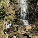 Allegheny River Trail, Pennsylvania - 153 Reviews, Map | AllTrails