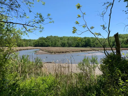 10 Best Hikes and Trails in American Chestnut Land Trust | AllTrails
