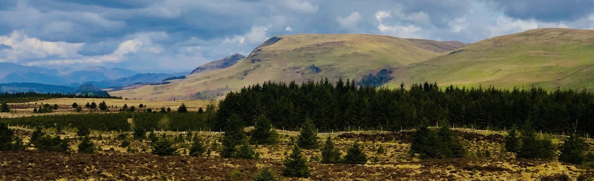 Cadder and Lennox Forest Circular: 67 foto's - Glasgow, Schotland ...