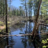 Barber Reservation Loop, Massachusetts - 141 Reviews, Map | AllTrails