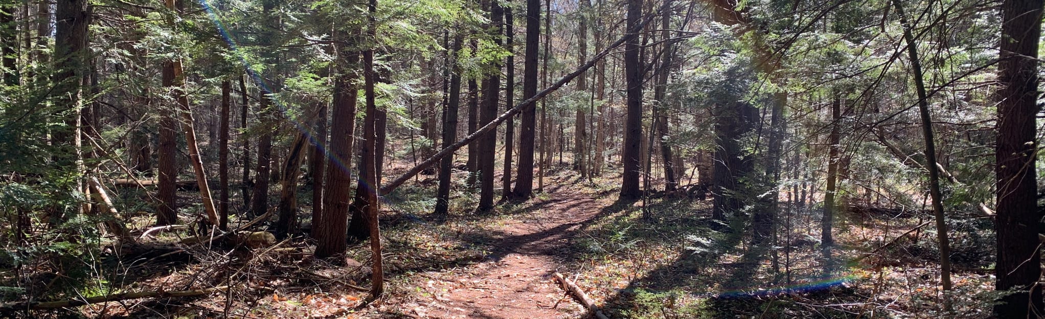 Mill Pond Trail and Hobblebush Trail Loop, New Hampshire - 30 Reviews ...