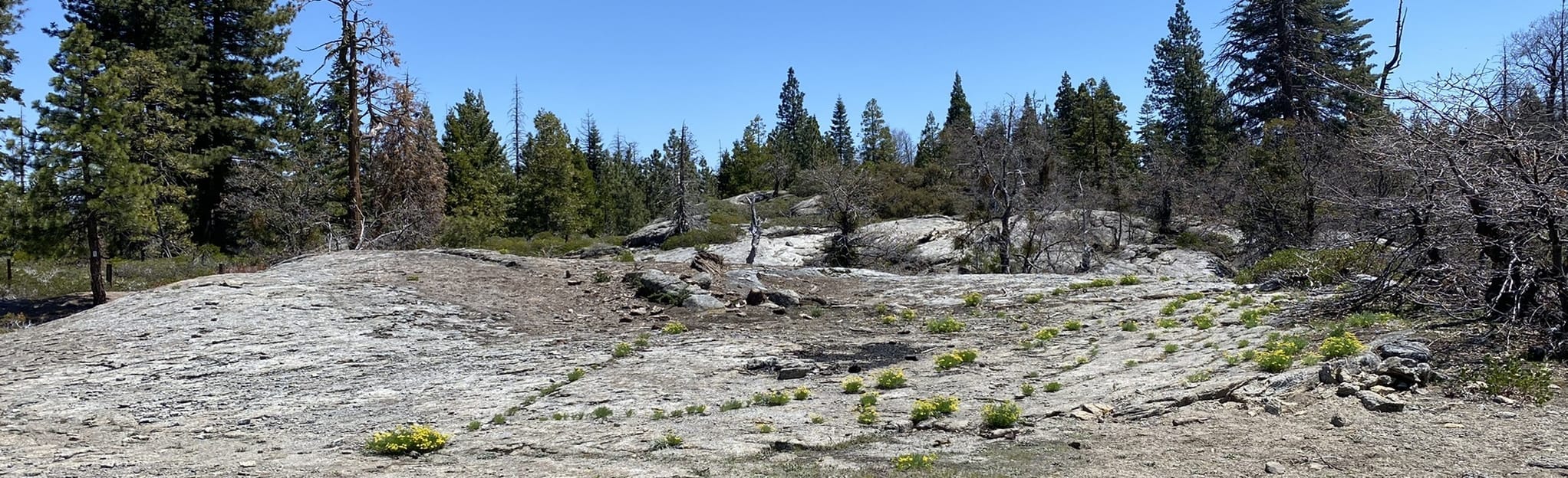 Granite Ridge Loop, California - 222 Reviews, Map | AllTrails