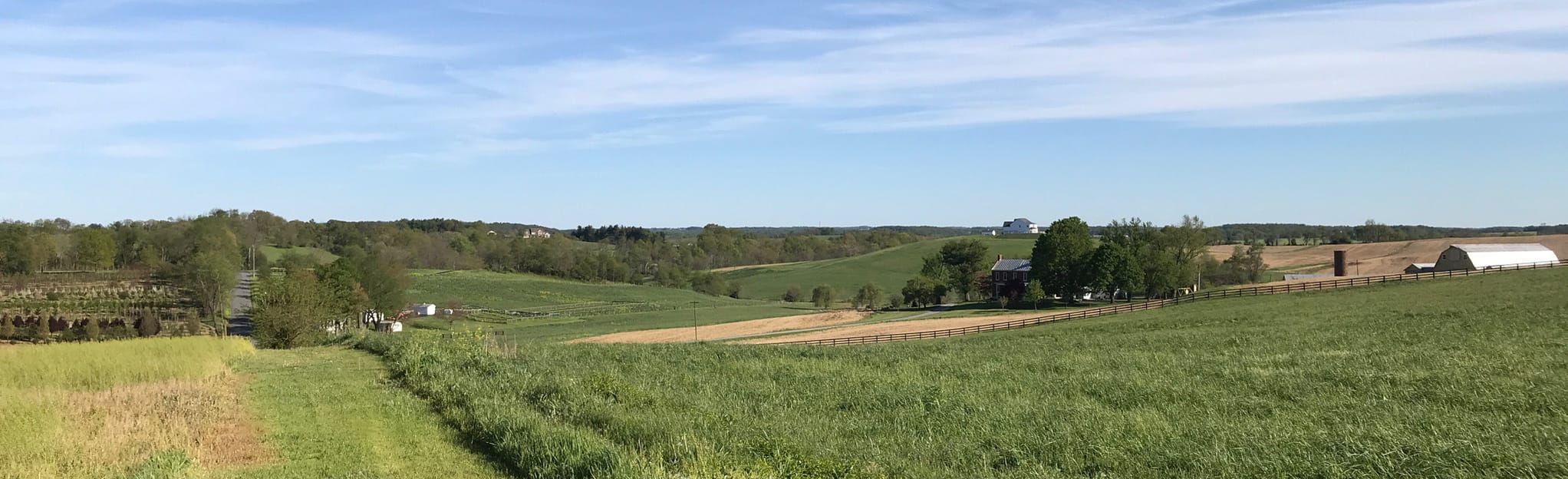 Libertytown Park Trail, Maryland - 46 Reviews, Map | AllTrails