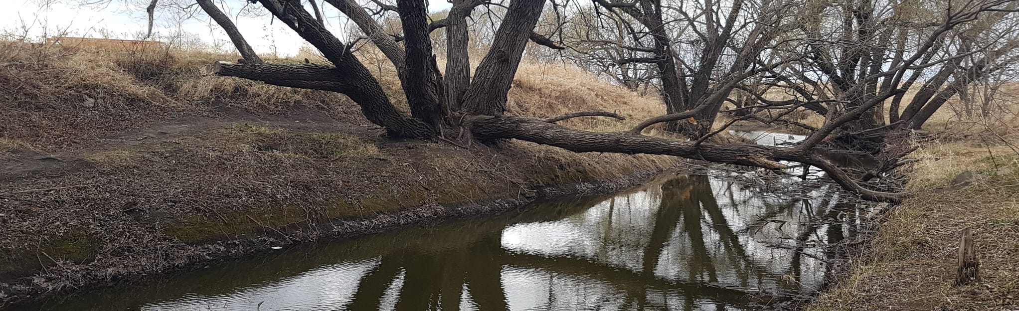 Blind Creek Trail, Manitoba, Canada - 24 Reviews, Map | AllTrails