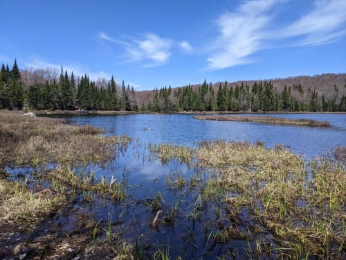 2023 Best 10 Trails and Hikes in Quebec City | AllTrails