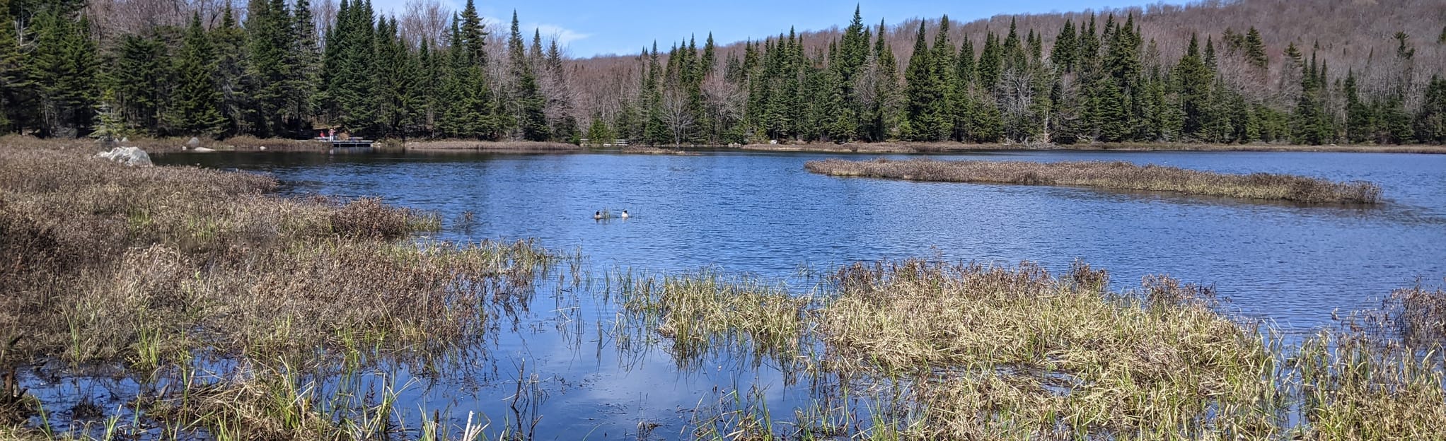 Belair Ourdoor Center Marsh Trail, Quebec, Canada - 622 Reviews, Map ...