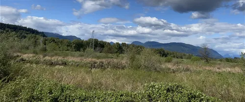 10 Best Trails and Hikes in Port Coquitlam | AllTrails