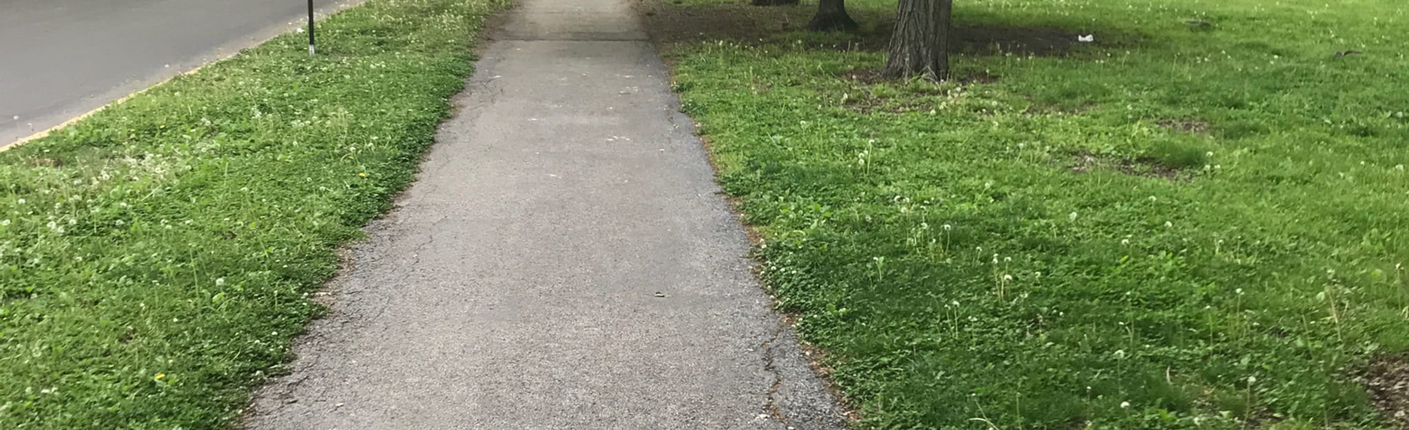 Wilson Park Loop, Illinois - 27 Reviews, Map | AllTrails