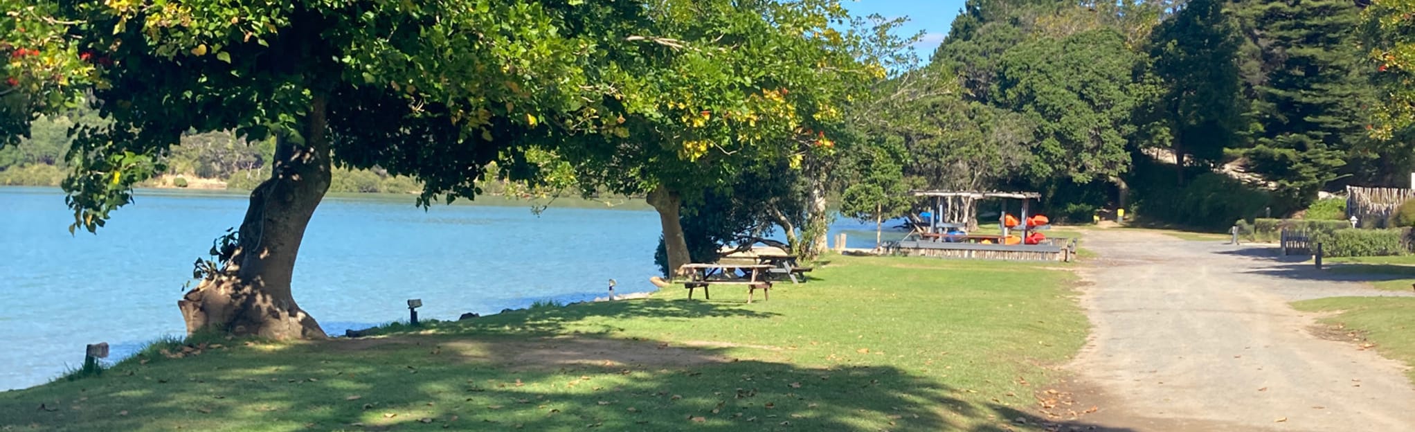 Paihia to Opua Coastal Walkway, Northland, New Zealand - 82 Reviews ...