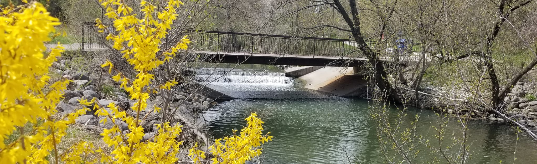 Birkdale Ravine: 166 Reviews, Map - Ontario, Canada | AllTrails