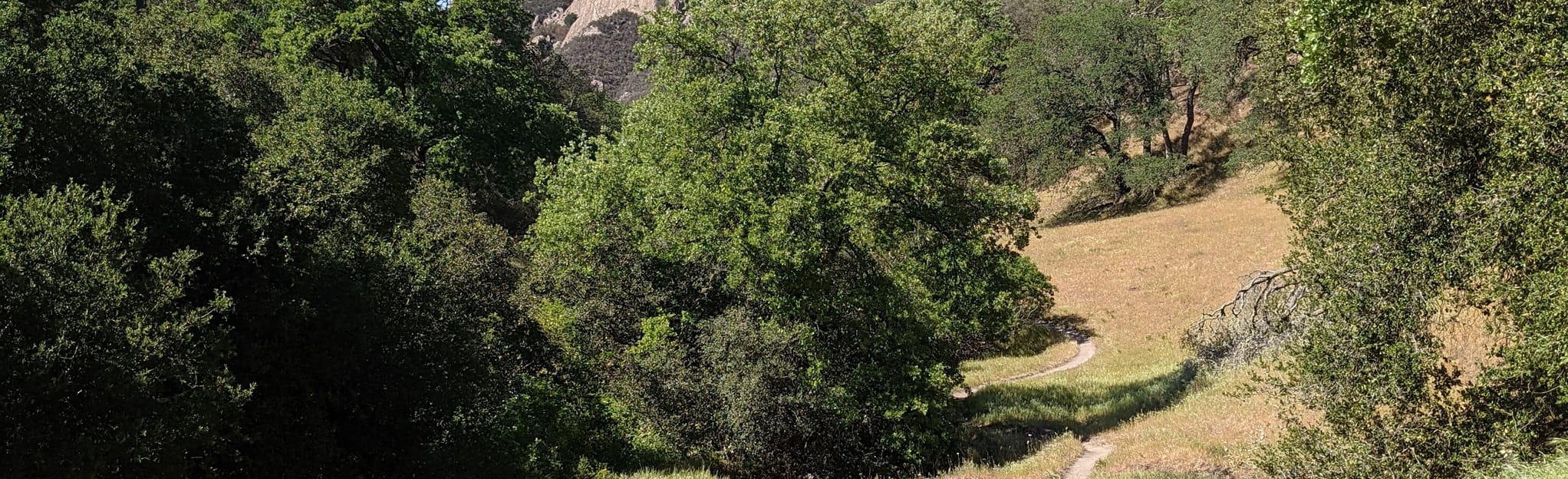 AllTrails | Diablo Scenic, Shell Ridge, Fairy Lantern, and Briones-Mt ...