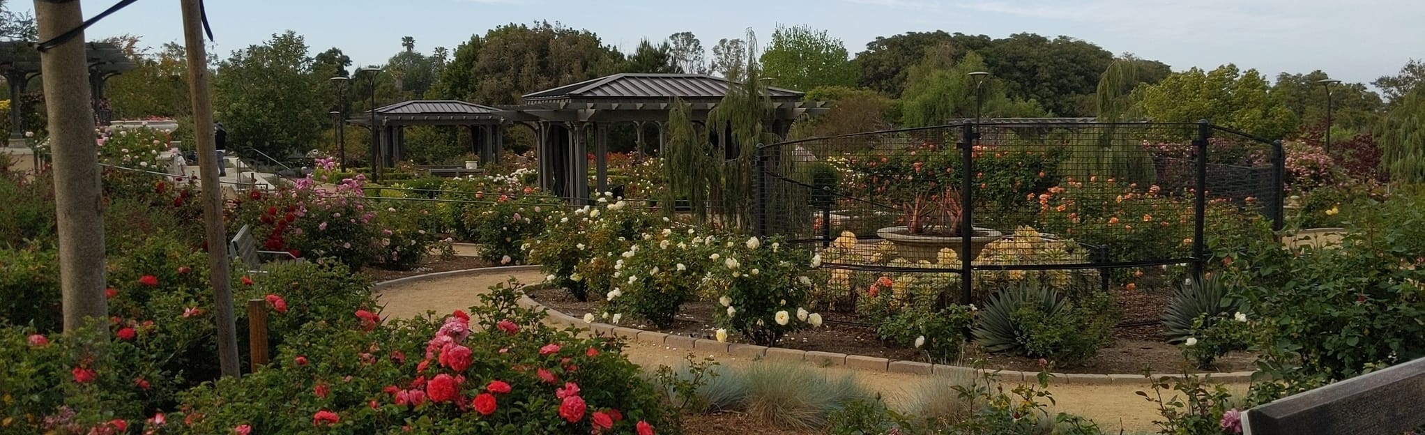 South Coast Botanic Garden: 271 Reviews, Map - California | AllTrails