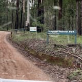 Mount Mee Forest Drive, Queensland, Australia - 19 Reviews, Map | AllTrails