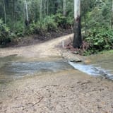 Mount Mee Forest Drive, Queensland, Australia - 19 Reviews, Map | AllTrails
