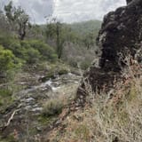 Mount Mee Forest Drive, Queensland, Australia - 19 Reviews, Map | AllTrails