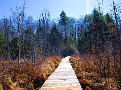 Best Hikes and Trails in Silver Lake Provincial Park, Ontario | AllTrails